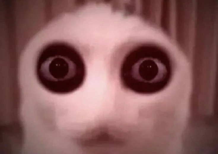 i need luck for firefly banner | Fandom