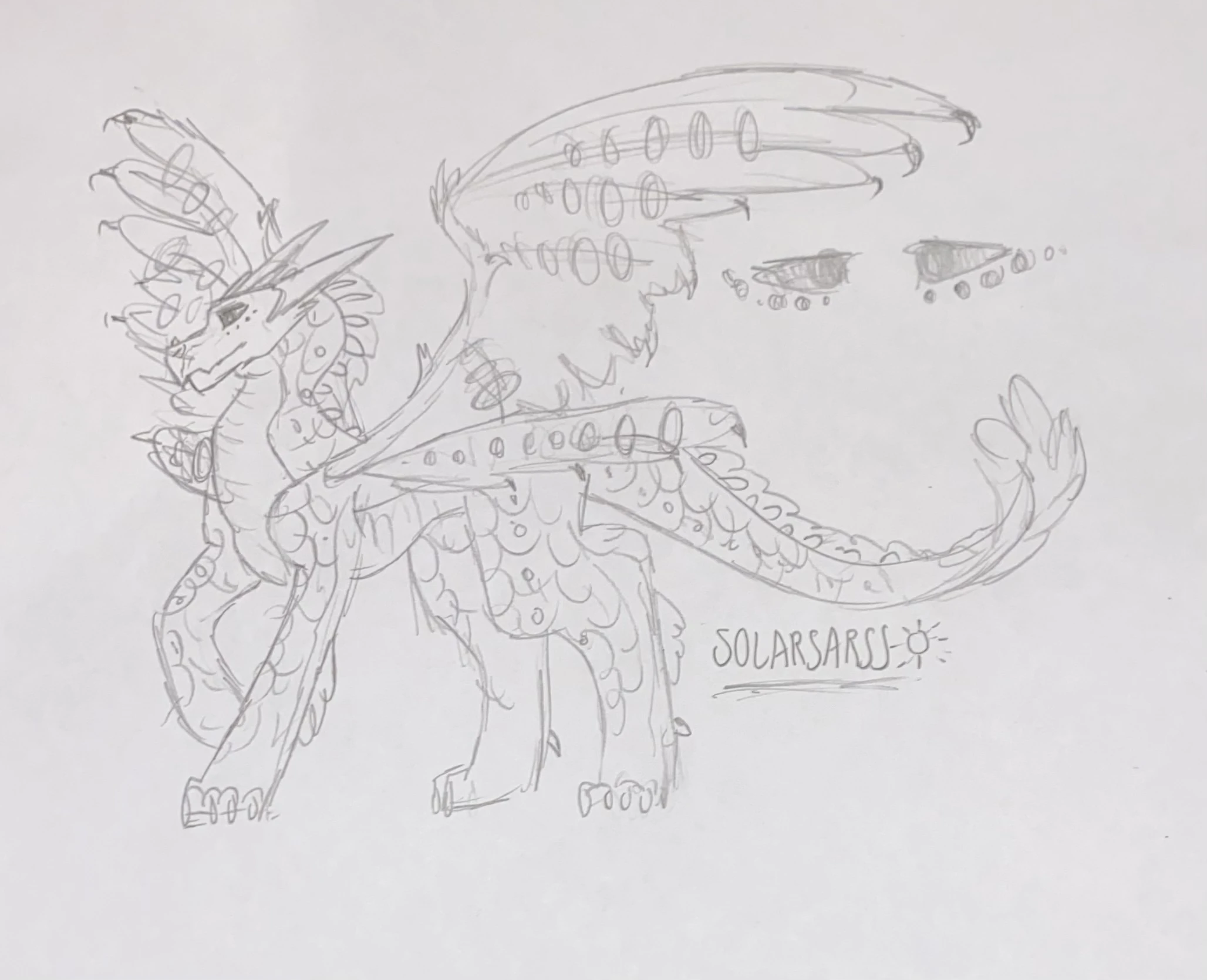 -little bird tribe thing- | Fandom