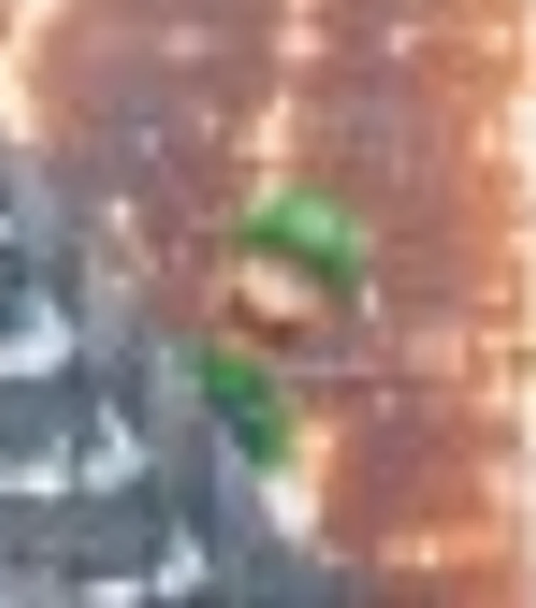 Day 1 of find luigi | Fandom