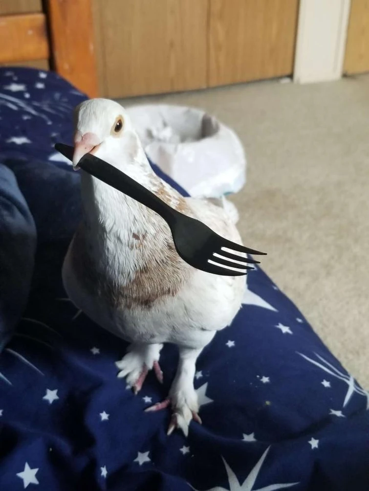 Discuss Everything About Creatures of Sonaria Wiki | Fandom