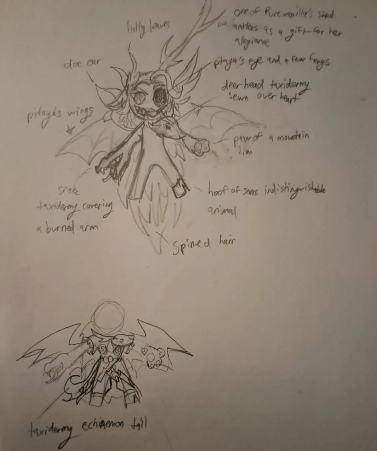 Hollyberry beast form sketching | Fandom