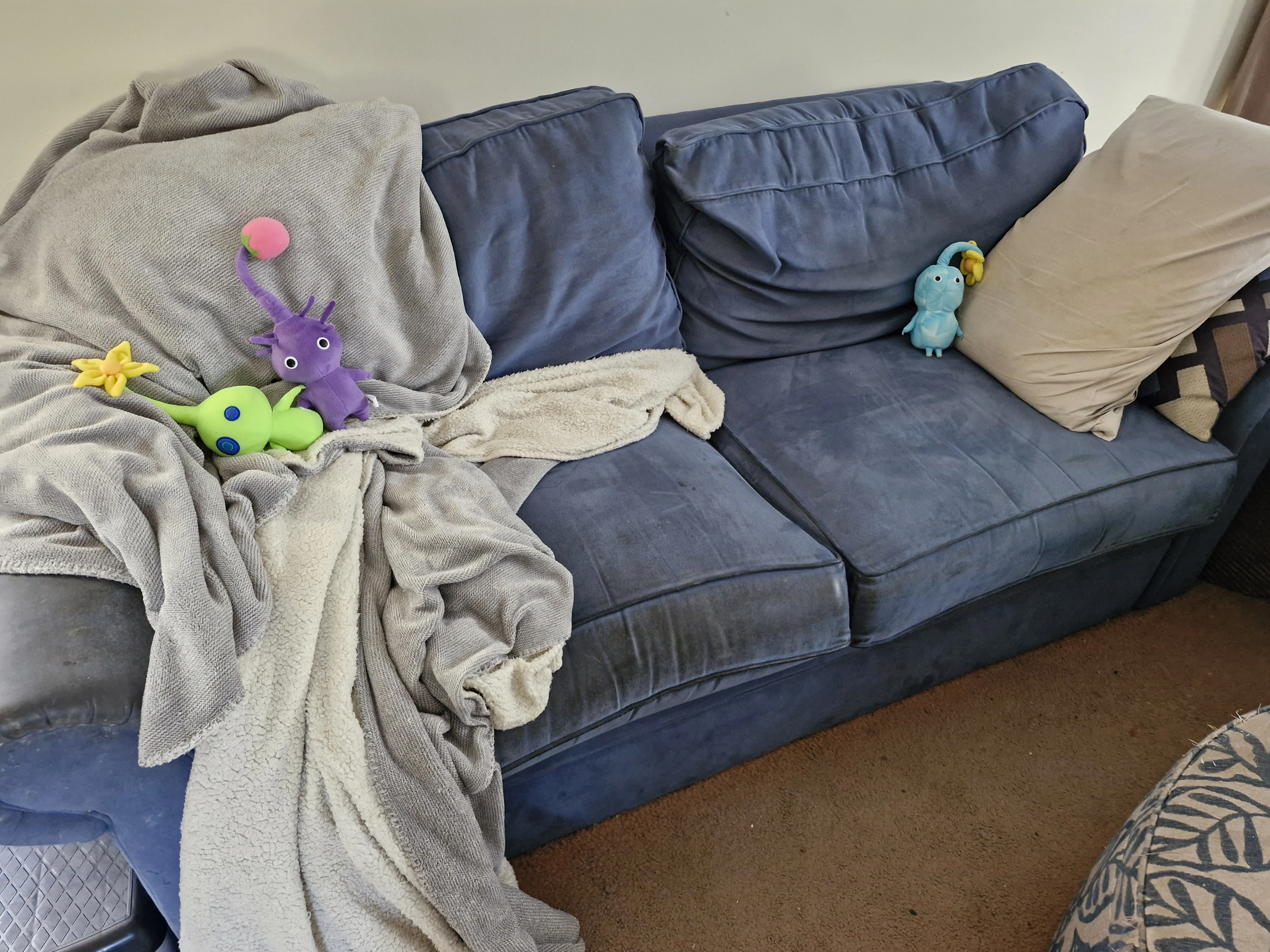 Set up the house for playing Pikmin | Fandom