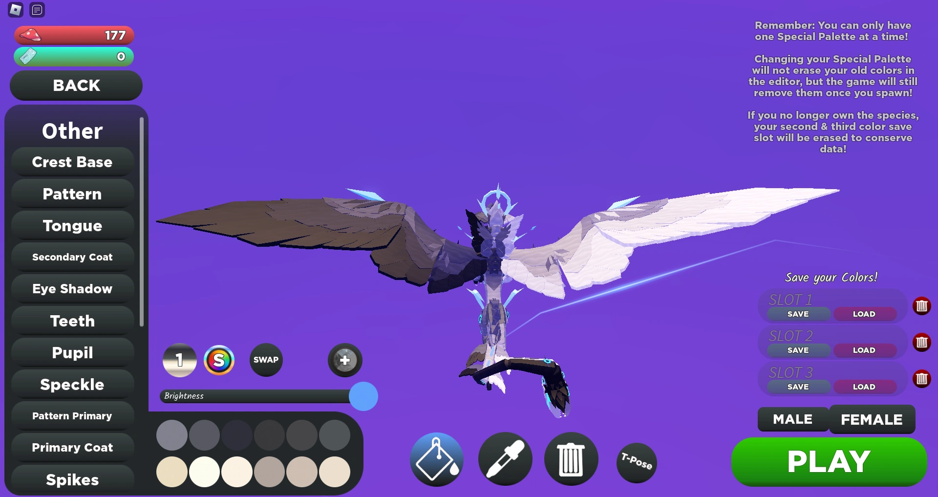 Rate the Skin (Angelic Warden) | Fandom