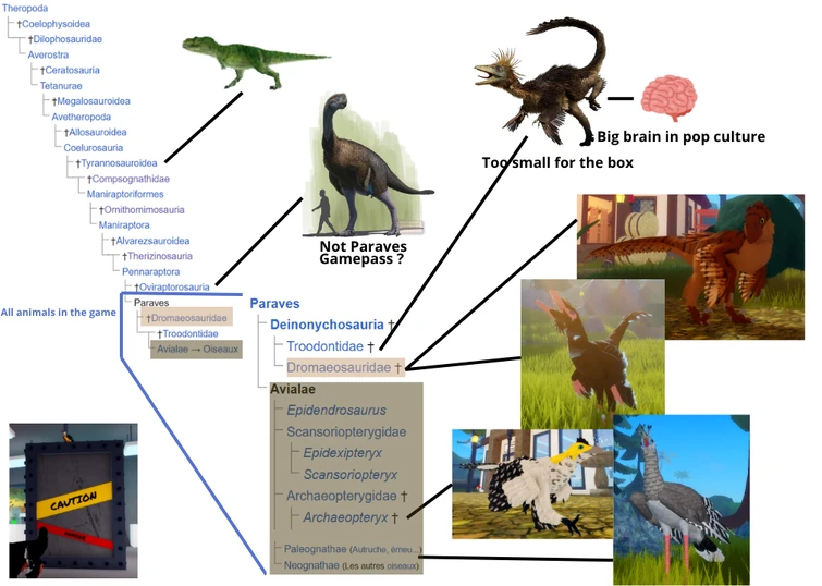 The box theory | Fandom