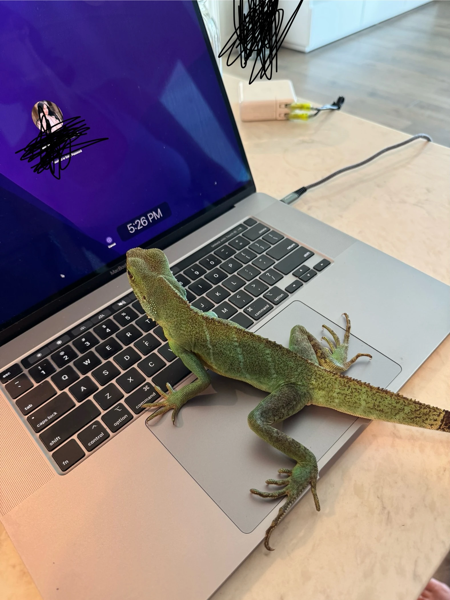 When you can’t remember your password | Fandom