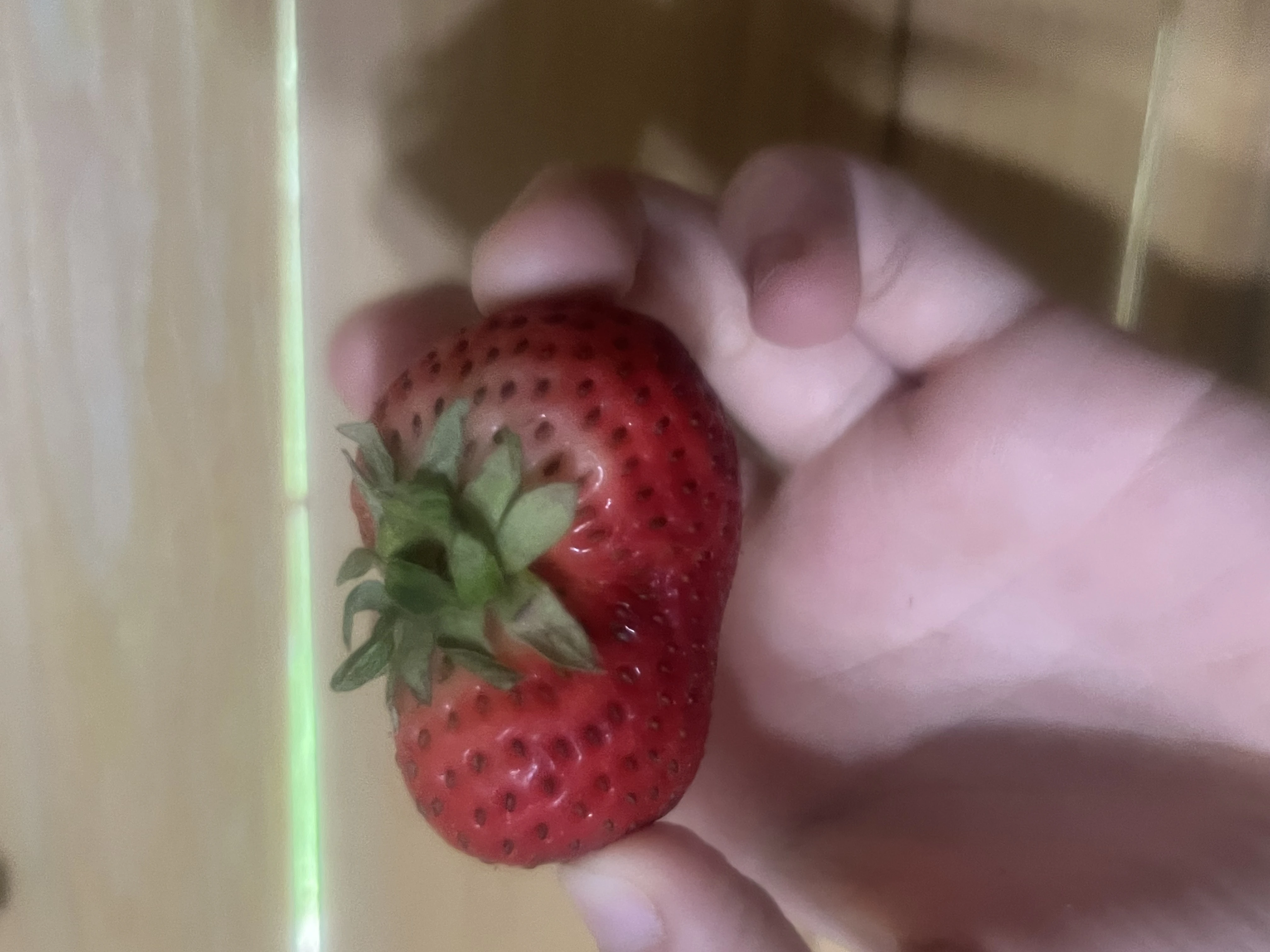 LOOK AT THIS STRAWBERRY | Fandom