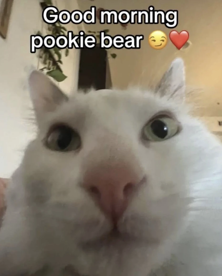 good morning 🙁 | Fandom