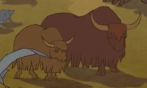 Yak | Animals Wiki | Fandom