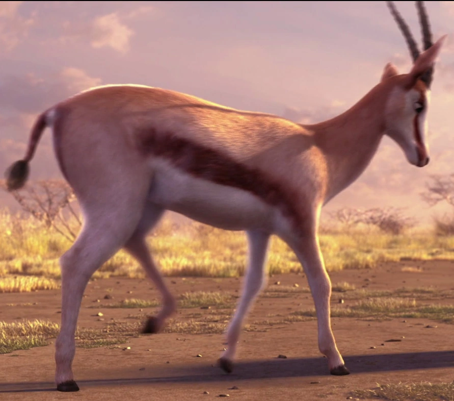 Springbok | Animals Wiki | Fandom