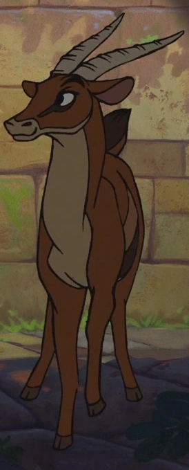 Chinkara | Animals Wiki | Fandom