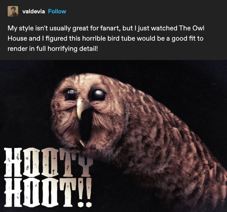 Hoot | Fandom