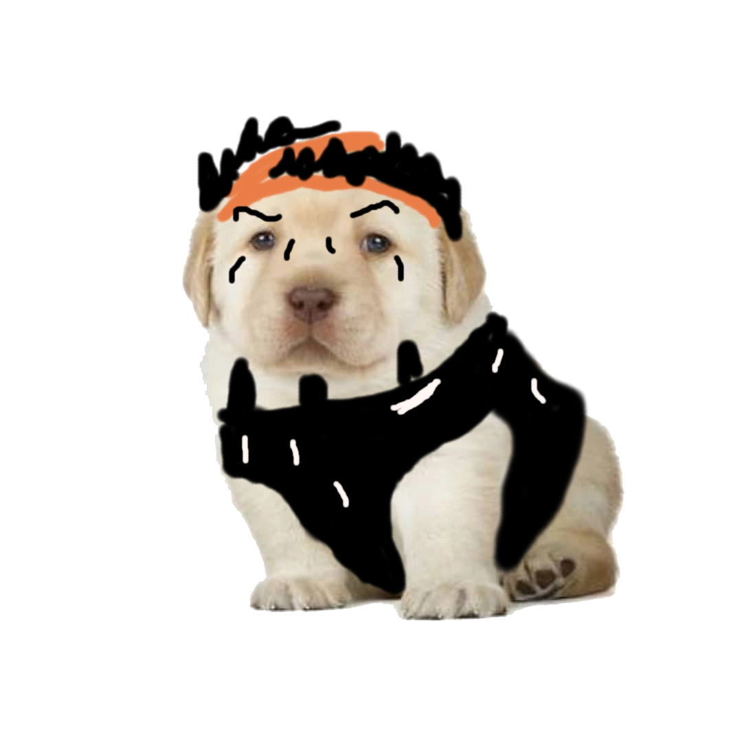 Narancia is dead | Fandom