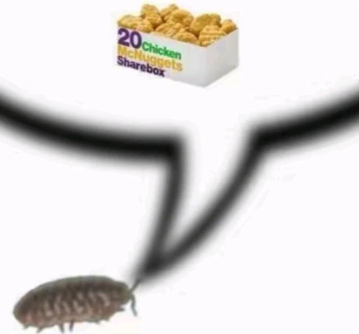 20 chiken nugets | Fandom