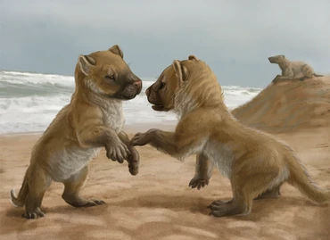 Discuss Everything About Dinopedia | Fandom