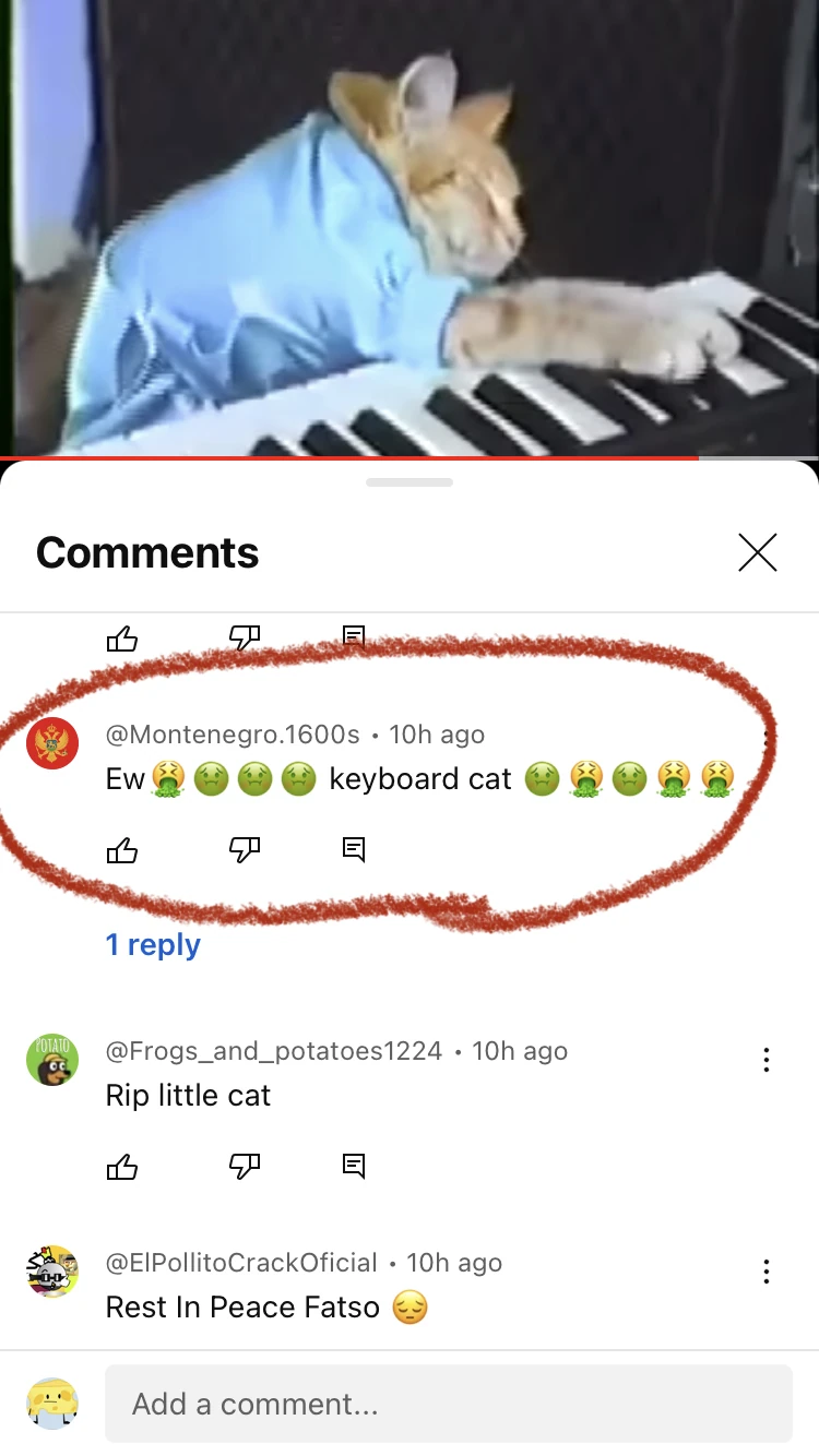 Can we stop the keyboard cat hate the cat is a legend and did nothing ...