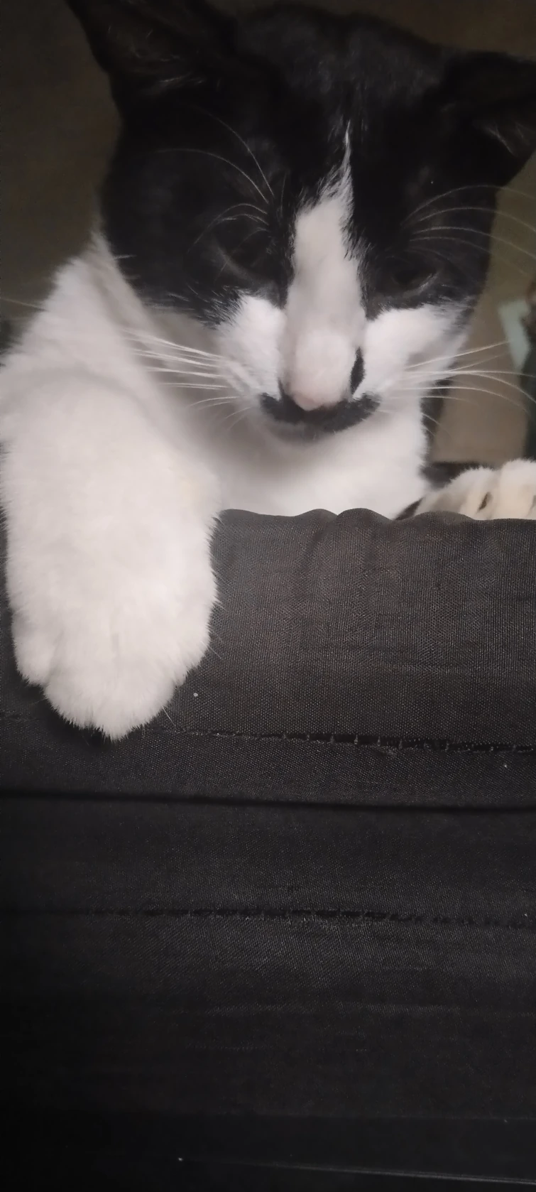 crappy kit ideas | Fandom