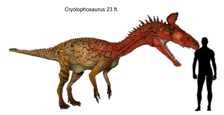 Theropod size comparison I made in 2017 when I was 8 | Fandom