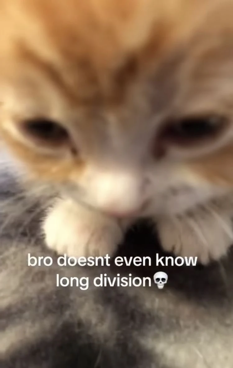 Well duh he's a little kitty cat | Fandom