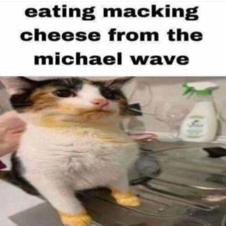 eating macking cheese from the michael wave | Fandom