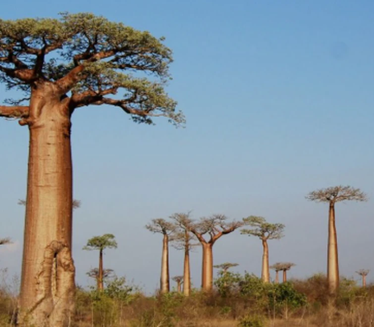 People on the internet will argue over anything | Fandom