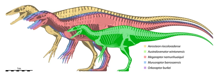 Maip macrothorax has been formally described! | Fandom