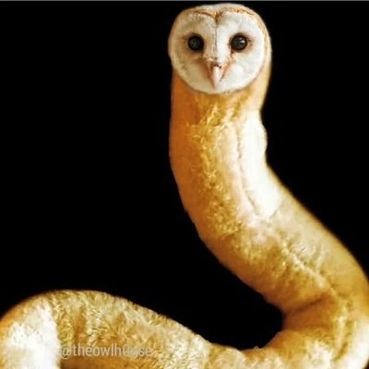 Reply with cursed owl house images | Fandom