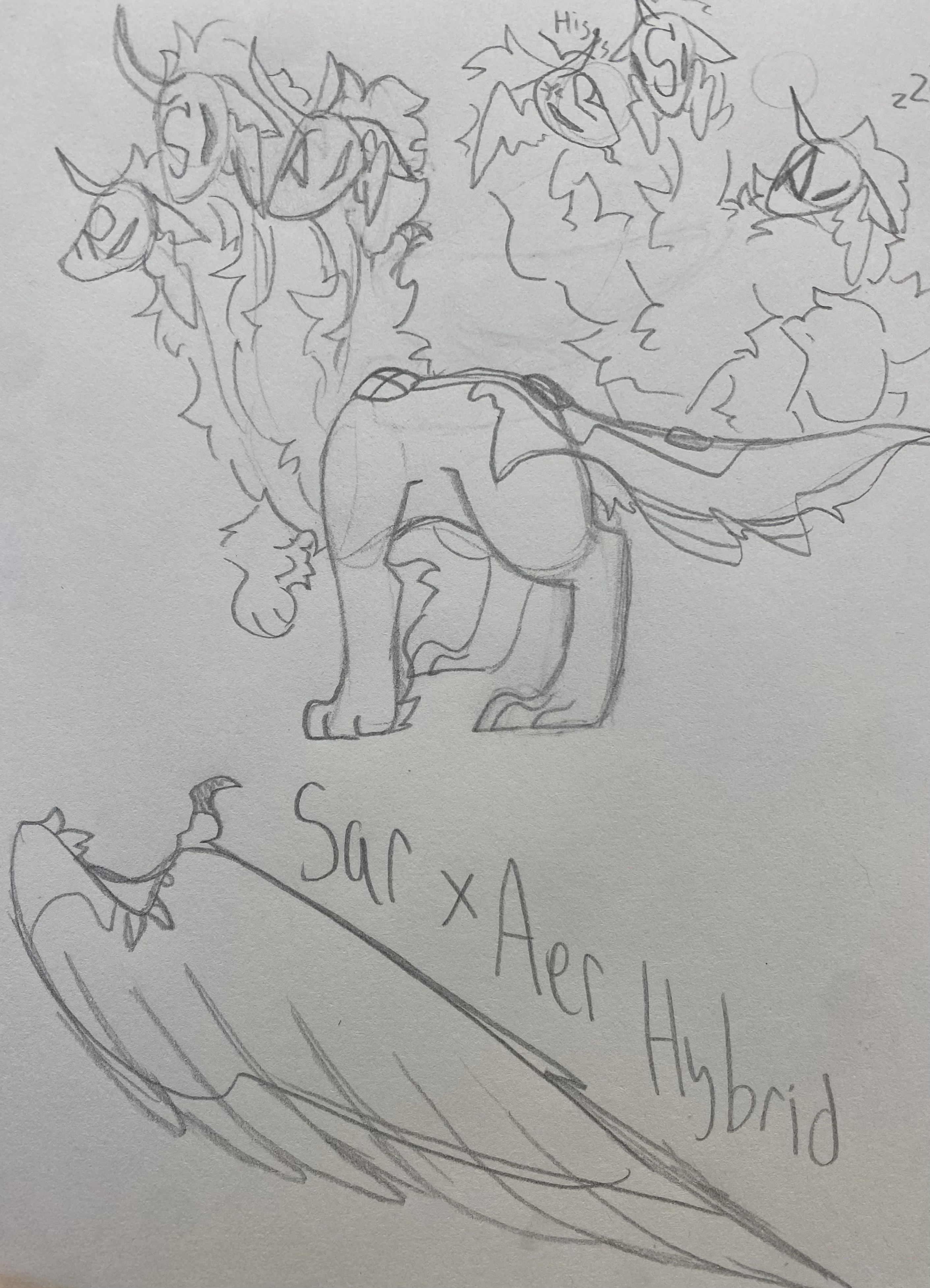 Sarhingo-aeries hybrid wip (anthro and feral versions) | Fandom
