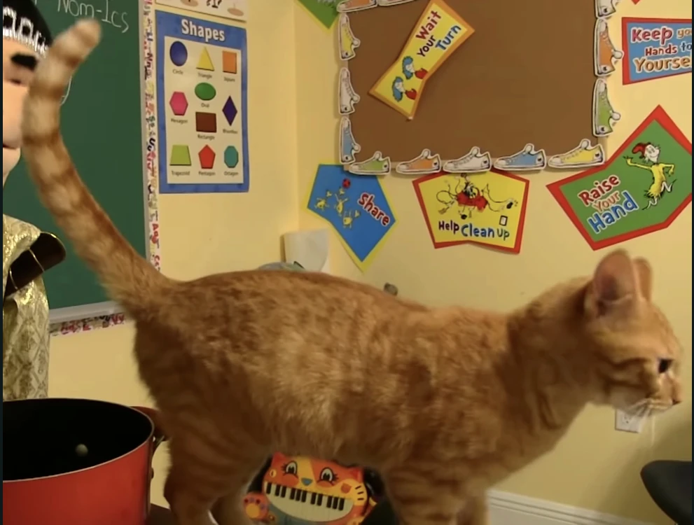 SML has two Pumpkins. | Fandom