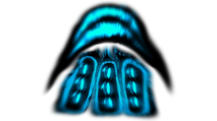 Discuss Everything About ROOMS: Low Detailed Wiki | Fandom