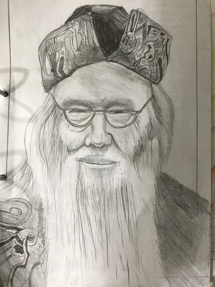 Dumbledore Potrait | Fandom