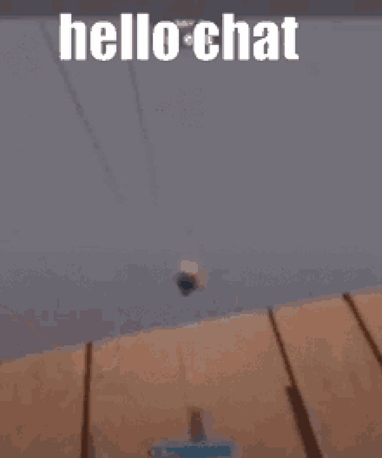 hello chat!! | Fandom
