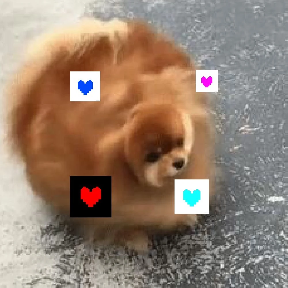 Awes God | Aamos dog Wiki | Fandom