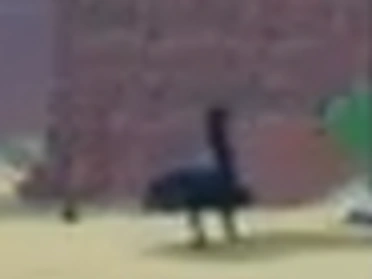 NULL SWAN | AAO Wiki | Fandom