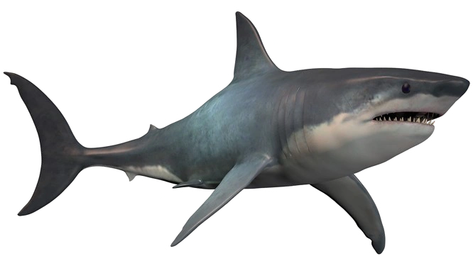 Mega Shark | Aaron Doan Productions Wiki | Fandom