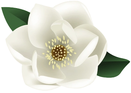 Psychic (Element) | AB - personal Wiki | Fandom