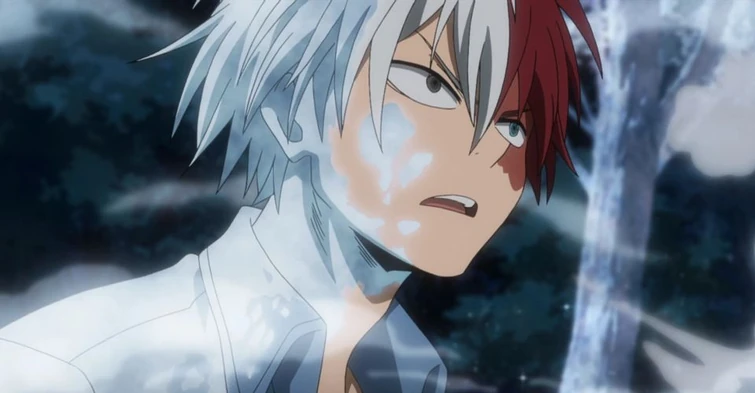 Happy Birthday Shoto! | Fandom