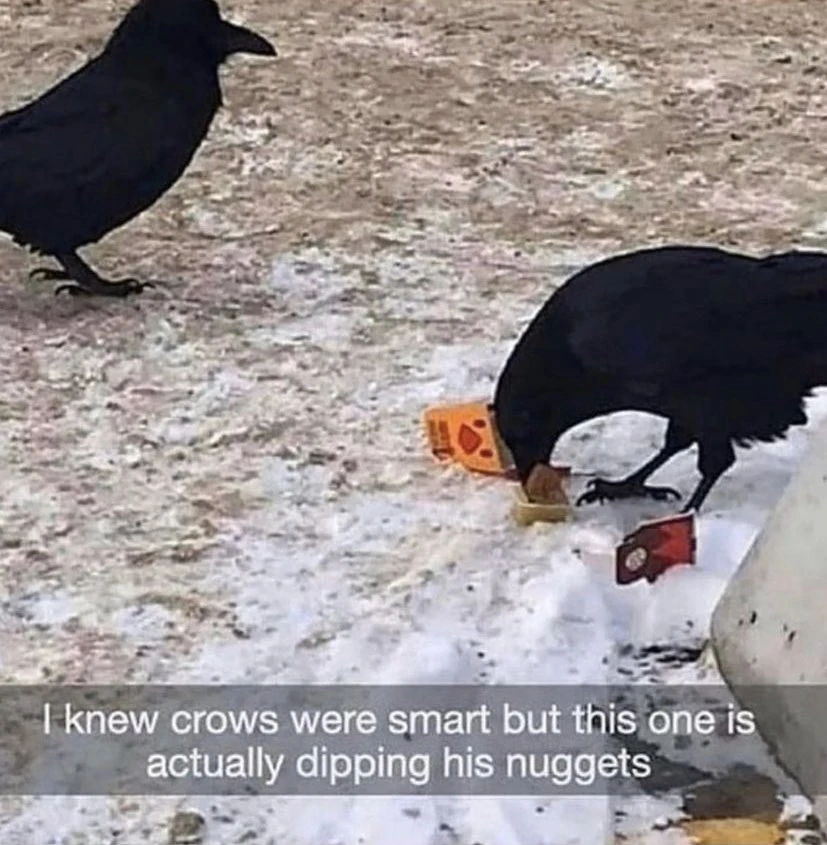 crow moment | Fandom