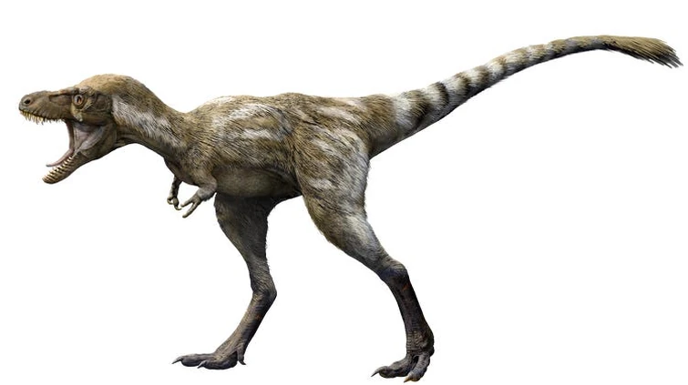 Discuss Everything About Dinopedia | Fandom