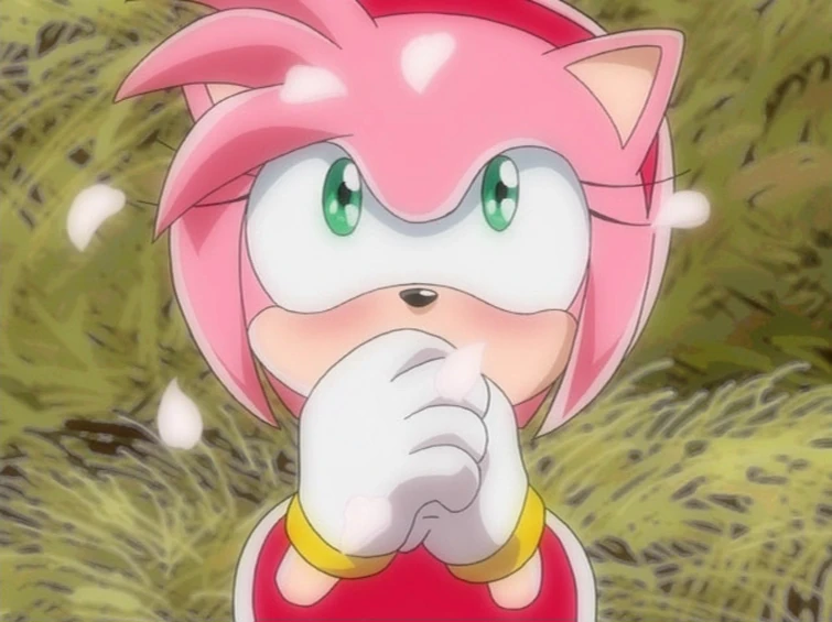 Amy Rose is the cutest thing i've saw in my life! | Fandom