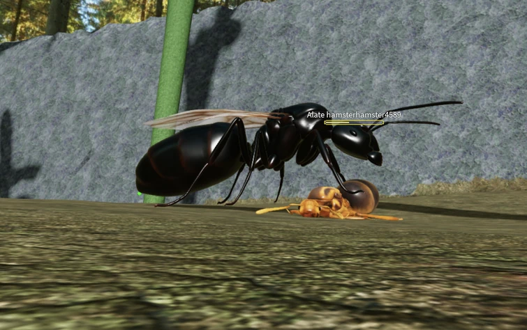 Discuss Everything About Ant Life Wiki | Fandom