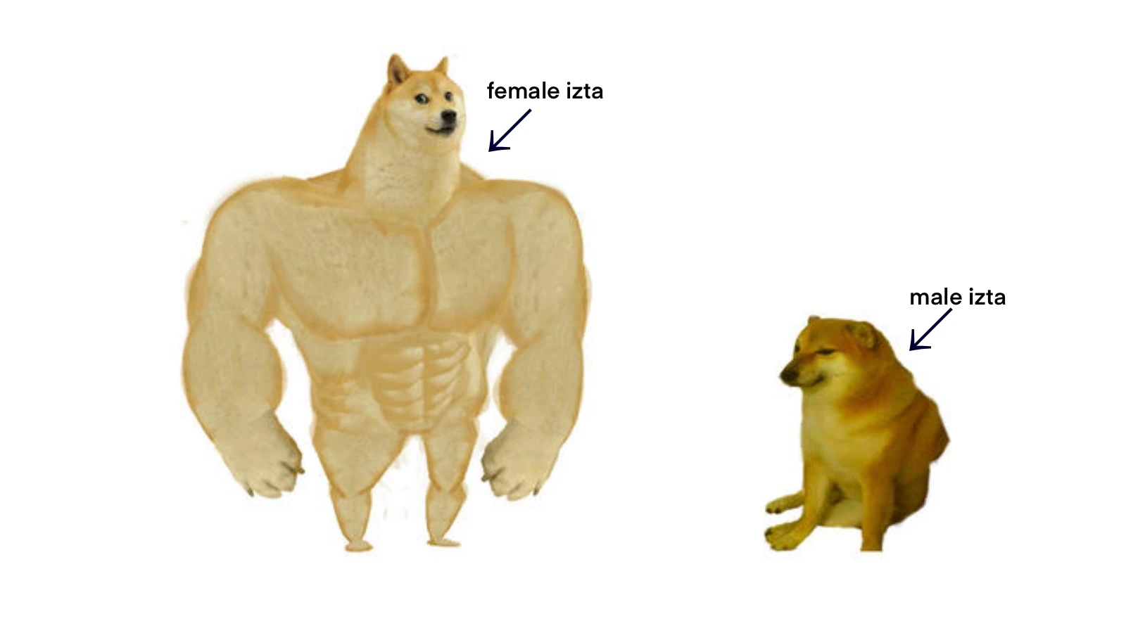 insert random title here | Fandom