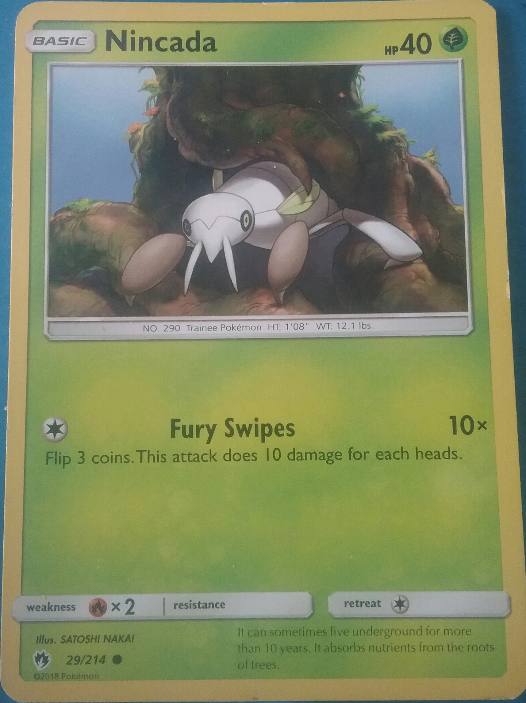 Nincada card | Fandom