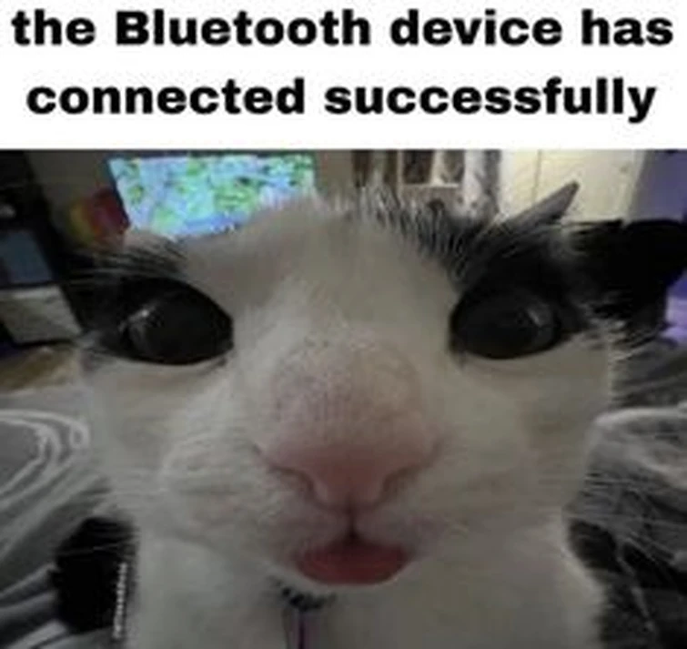 Hey I’m bored | Fandom