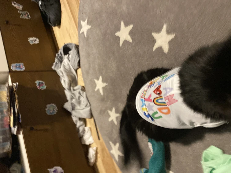 BROS GOT THE TARGET PRIDE MERCH | Fandom