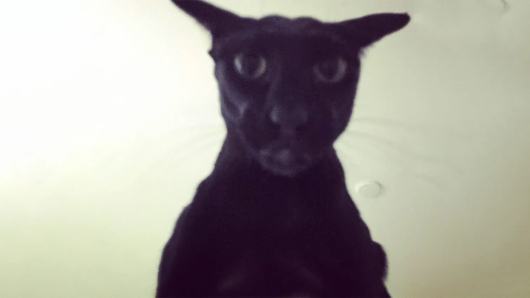 goodnight magical wiki people | Fandom