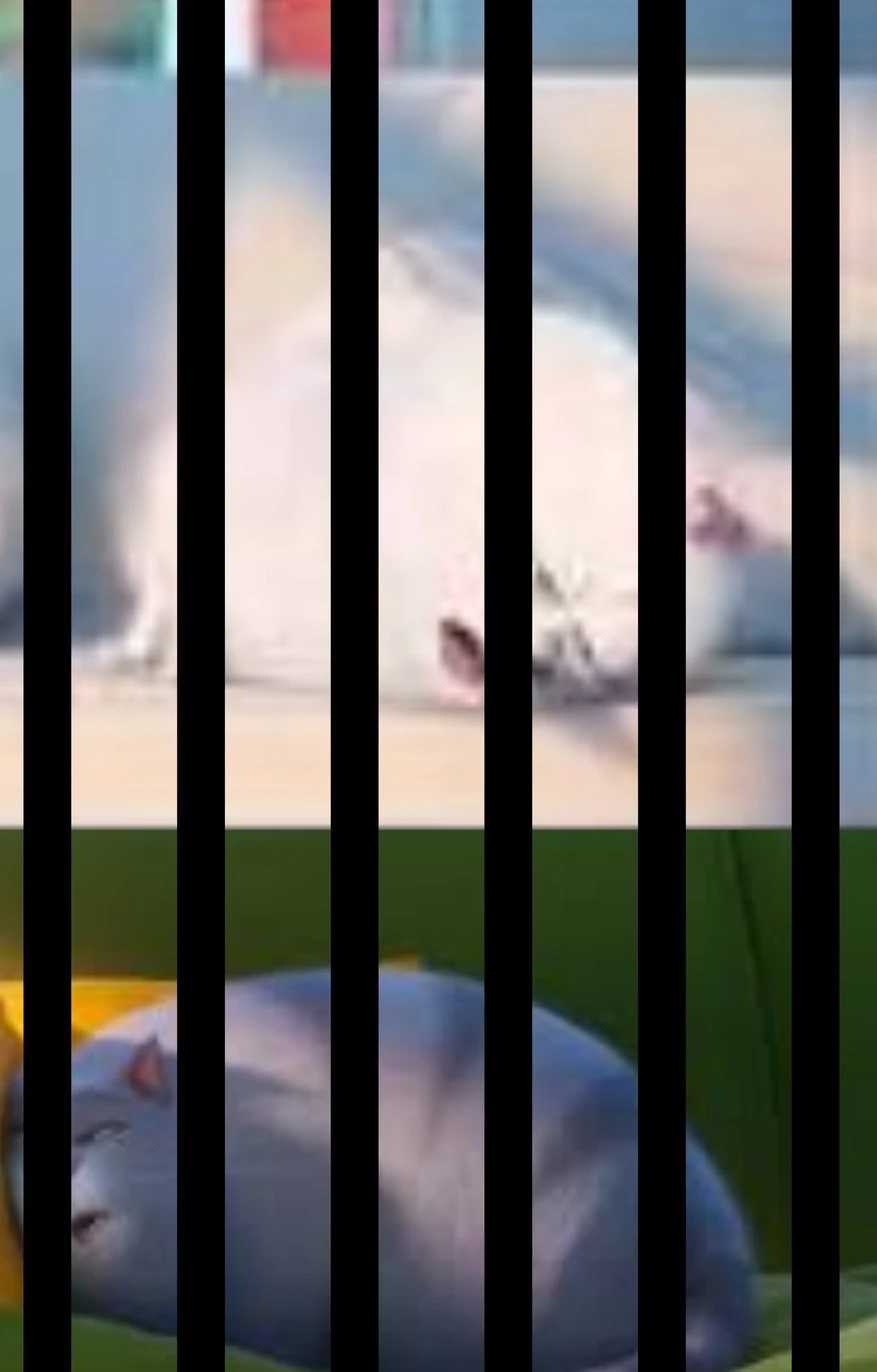 Chloe & Gidget Get Grounded For Throwing A Party | Fandom