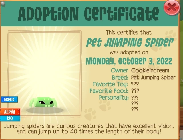 Spider twins?? | Fandom