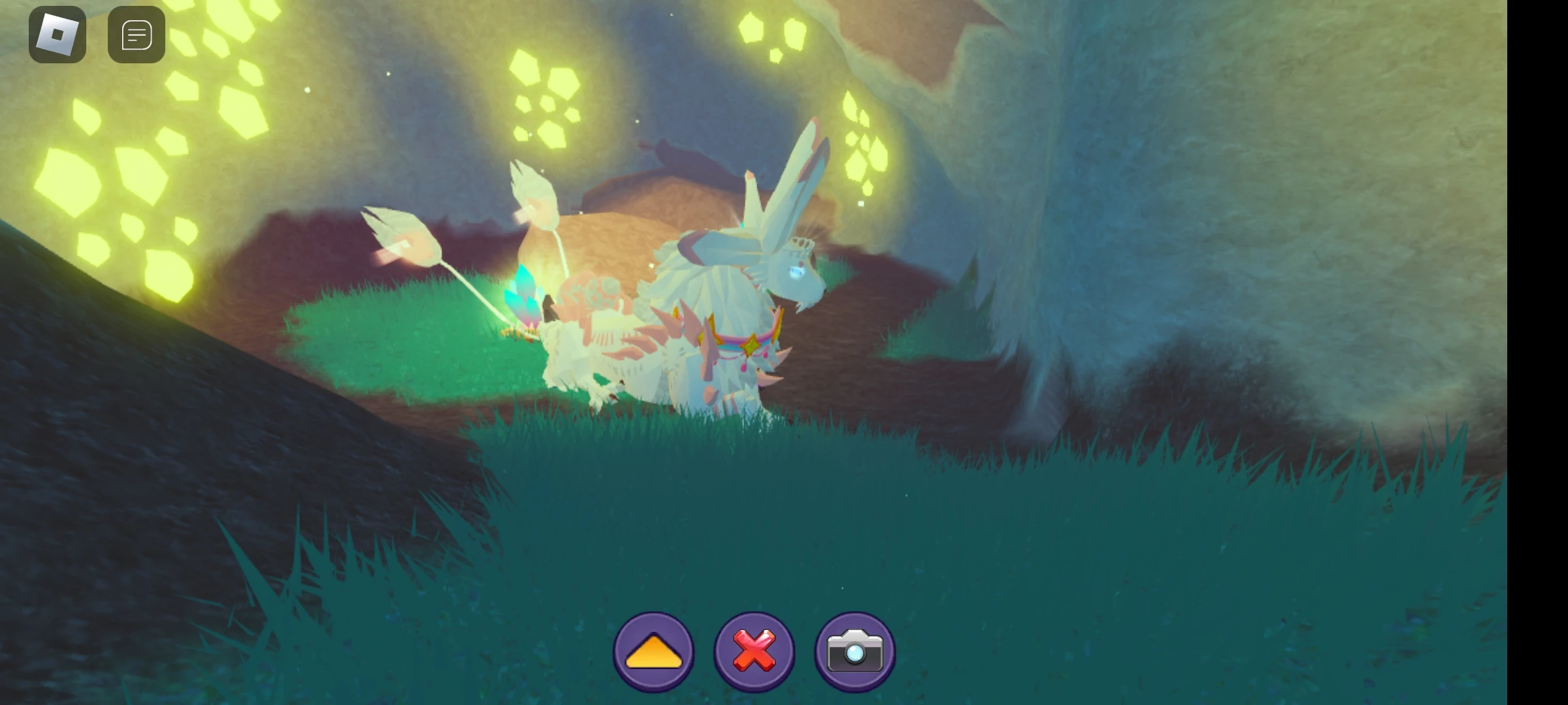 Show me ur bnuuys 🐰 | Fandom