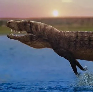 Discuss Everything About Dinopedia | Fandom