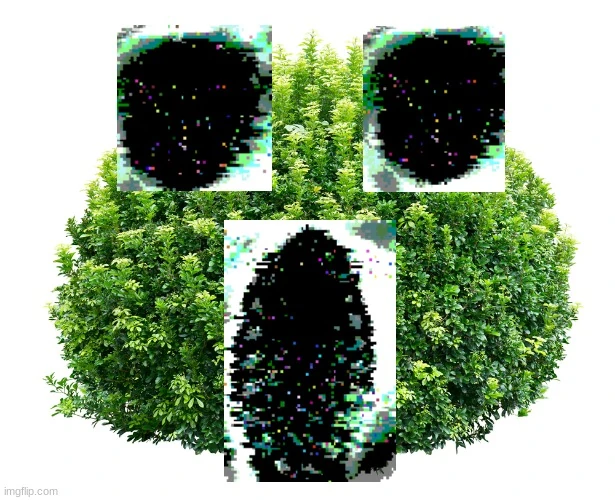 the new ambush redesign lol | Fandom